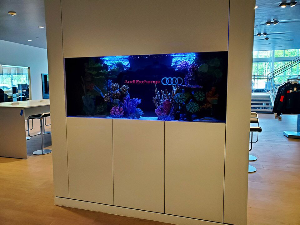 Blue Planet Aquarium | Servicing Illinois, Wisconsin, Indiana & Michigan